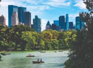 Natural & Working Lands | Policy Priorities | U.S. Climate Alliance